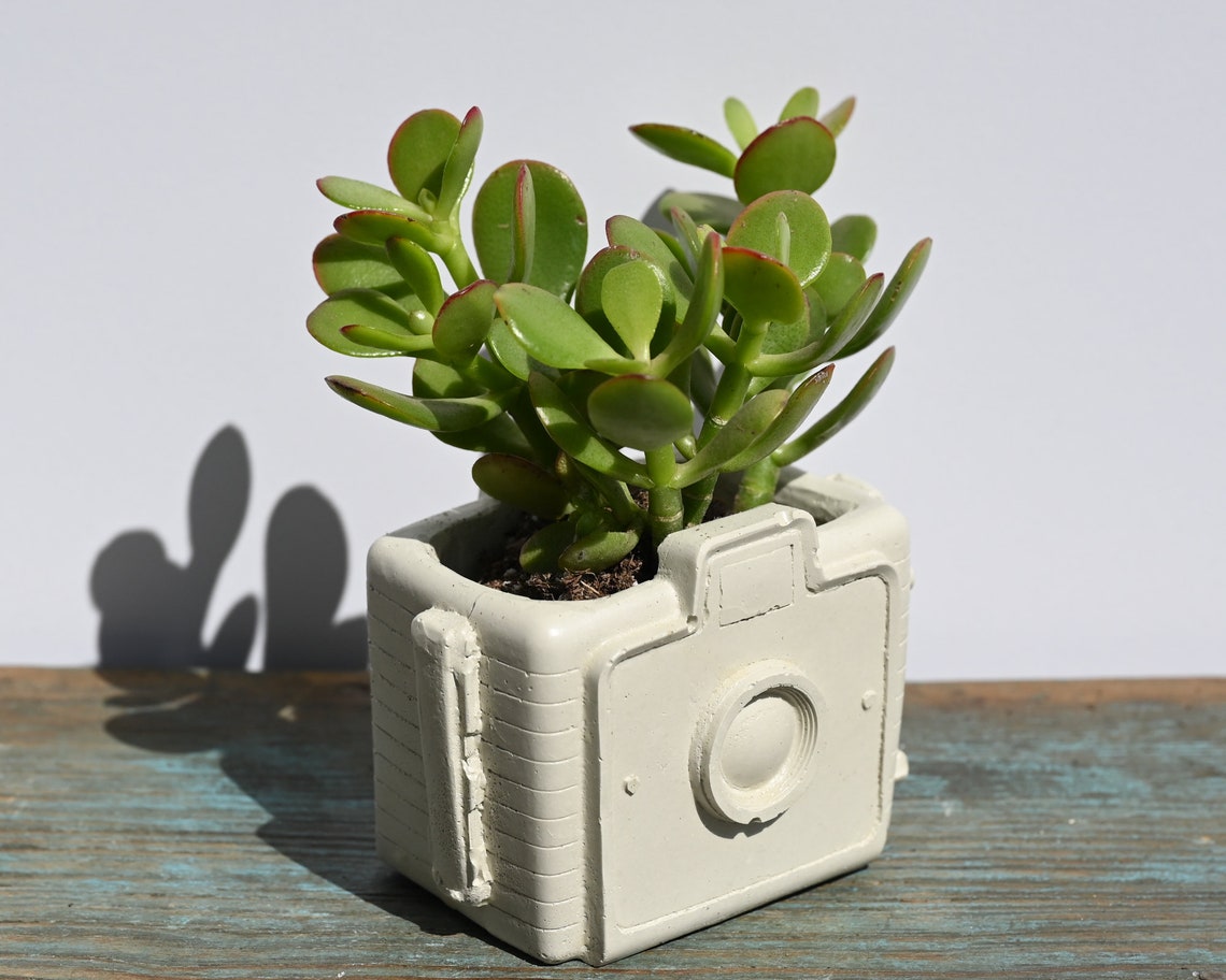 Camera Planter Concrete Camera Planter Camera Succulent - Etsy