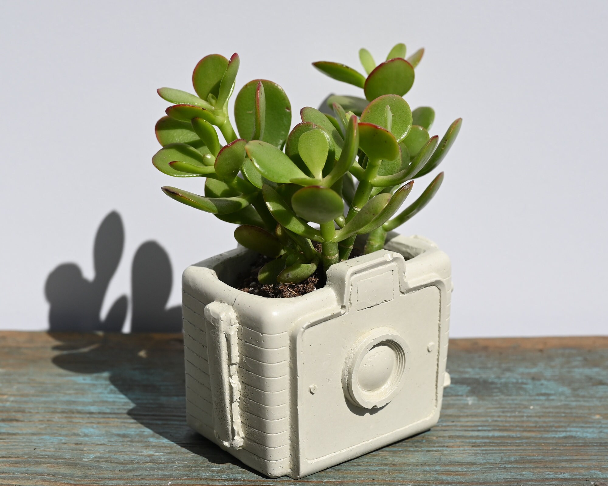 Camera Planter Concrete Camera Planter Camera Succulent - Etsy
