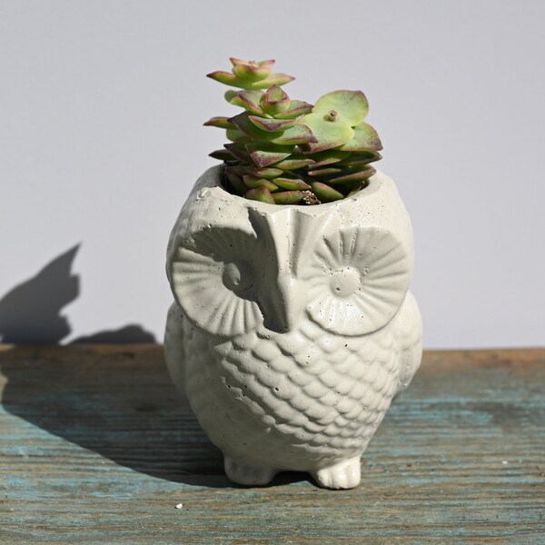 Owl Pot - Etsy