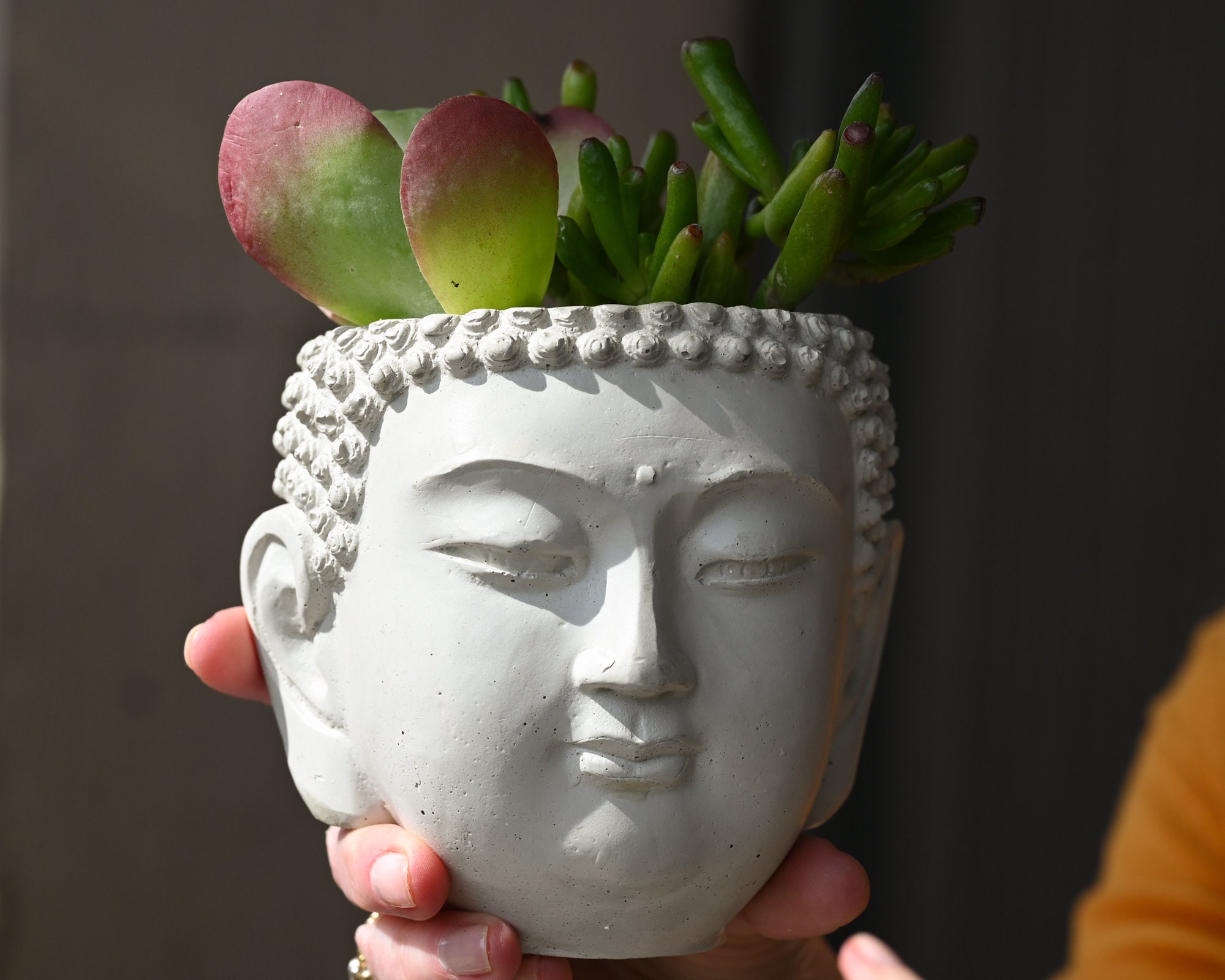 Buddha Head Planter 4 Buddha Planter Head Planter Buddha | Etsy