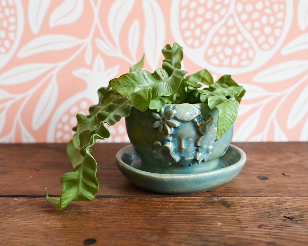 Copper Green Face With Leaves and Flowers Planter With Attached Saucer ...