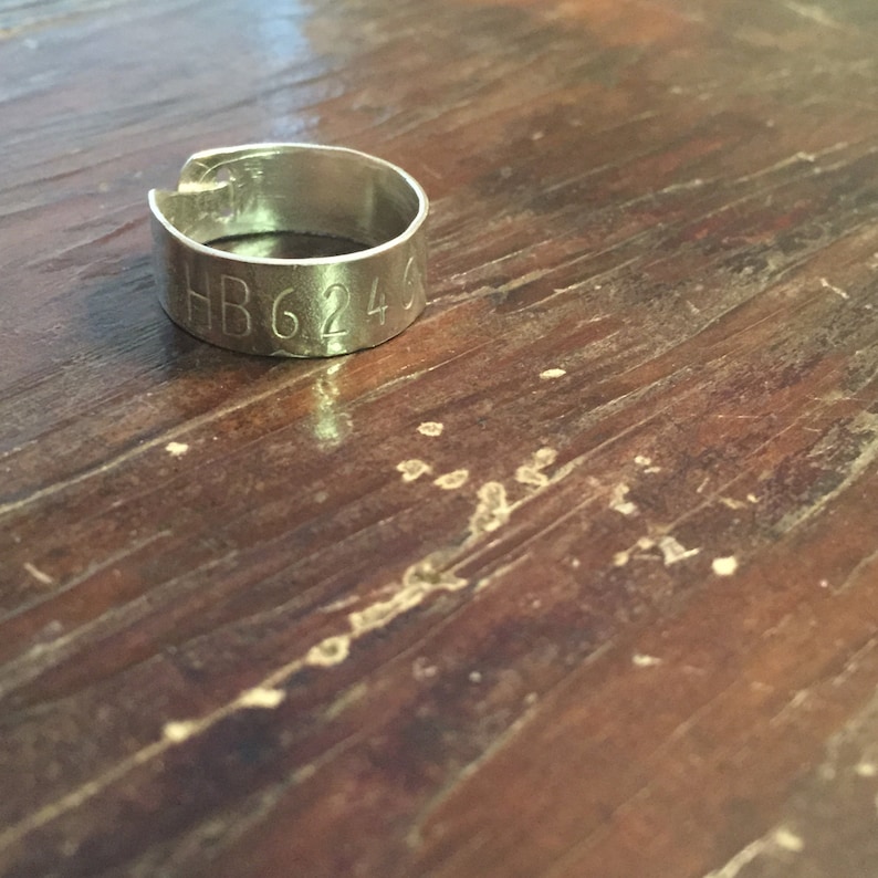 LARGE Silver Sea Turtle Flipper Tag Ring - Etsy