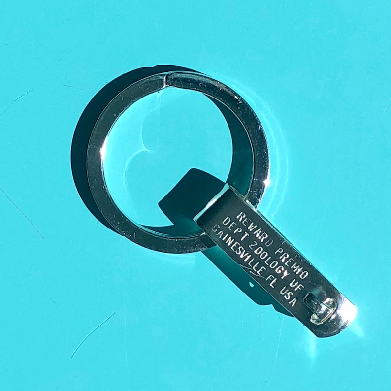 Sterling Silver Sea Turtle Flipper Tag Keychain Charm - Etsy