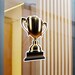 Customizable Golden Trophy Decal, Personalize With Your Text, Vinyl ...