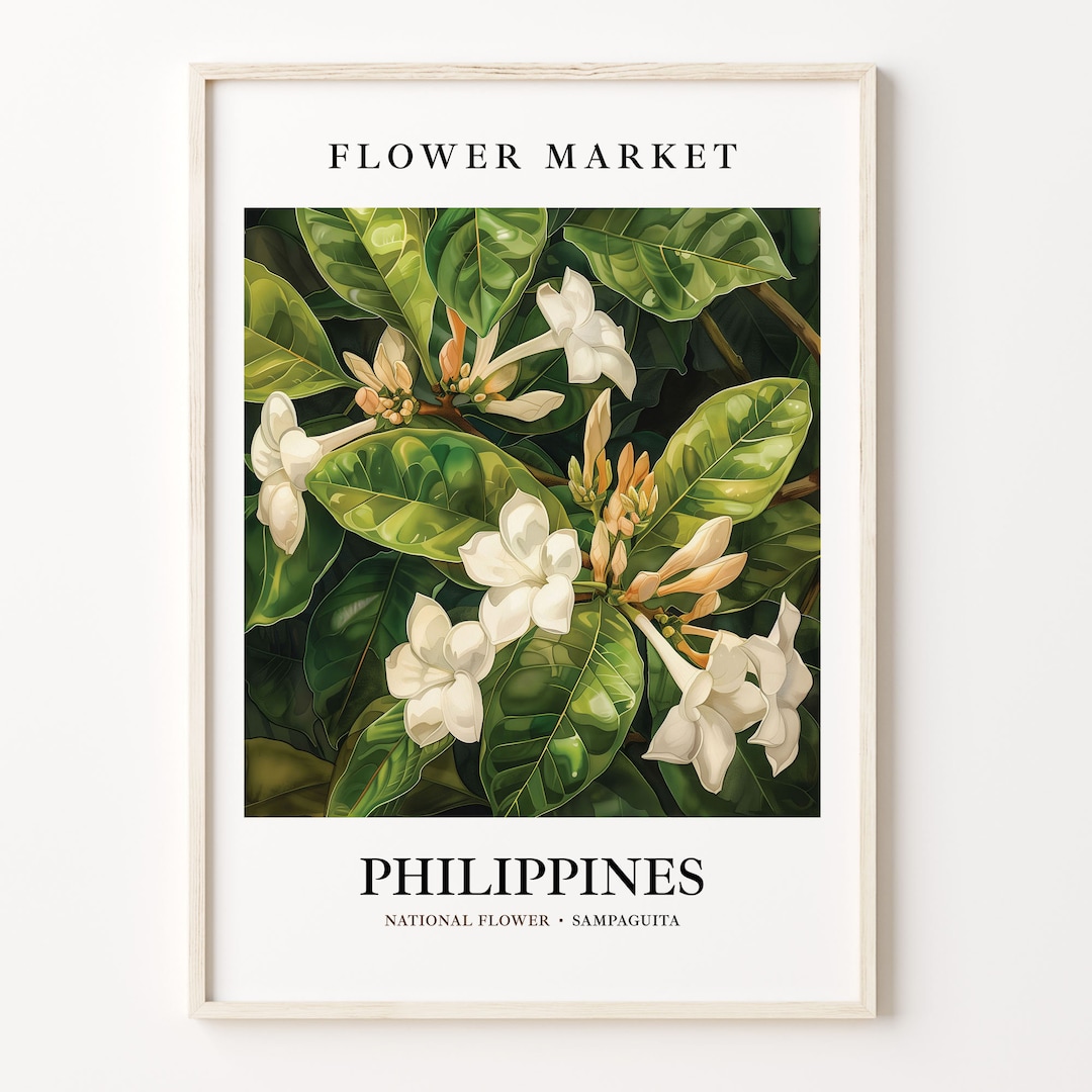 Sampaguita Art Print: Philippines National Flower, Botanical Wall Decor ...