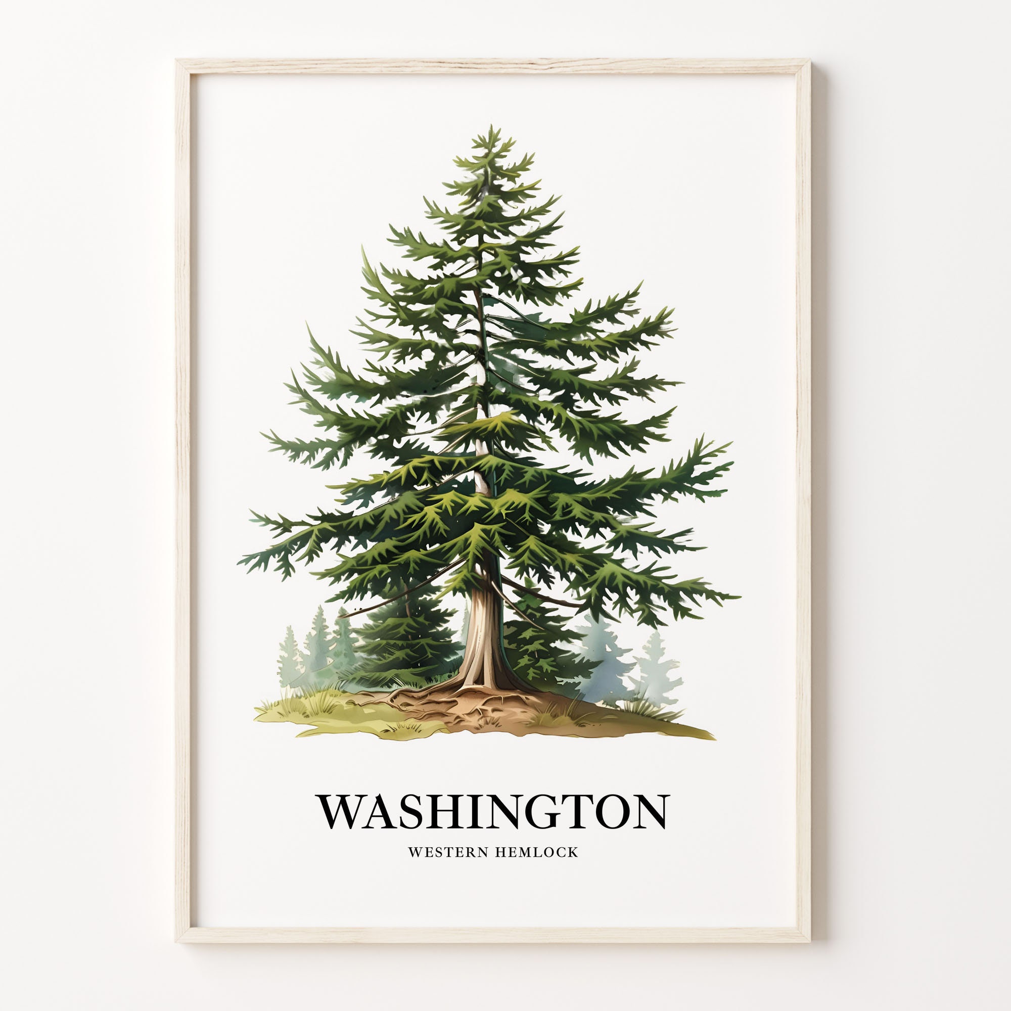 Western Hemlock Tree Art Print: Washington State Symbol - Etsy