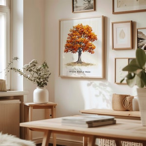 Sugar Maple Tree Art Print, Wall Art Poster, Botanical Maple Tree Decor ...