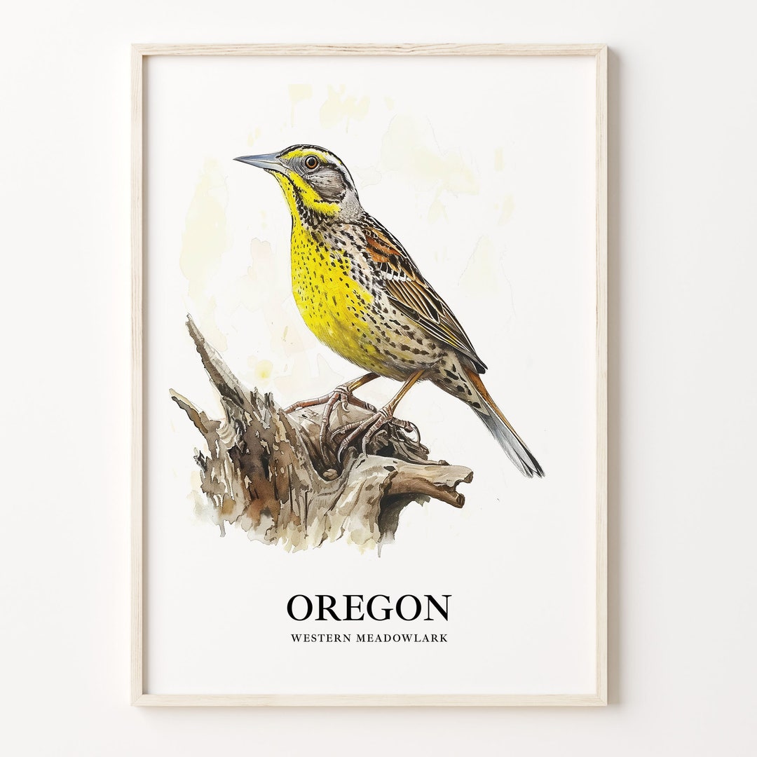 Oregon State Bird & Flower Art Print: Western Meadowlark - Etsy