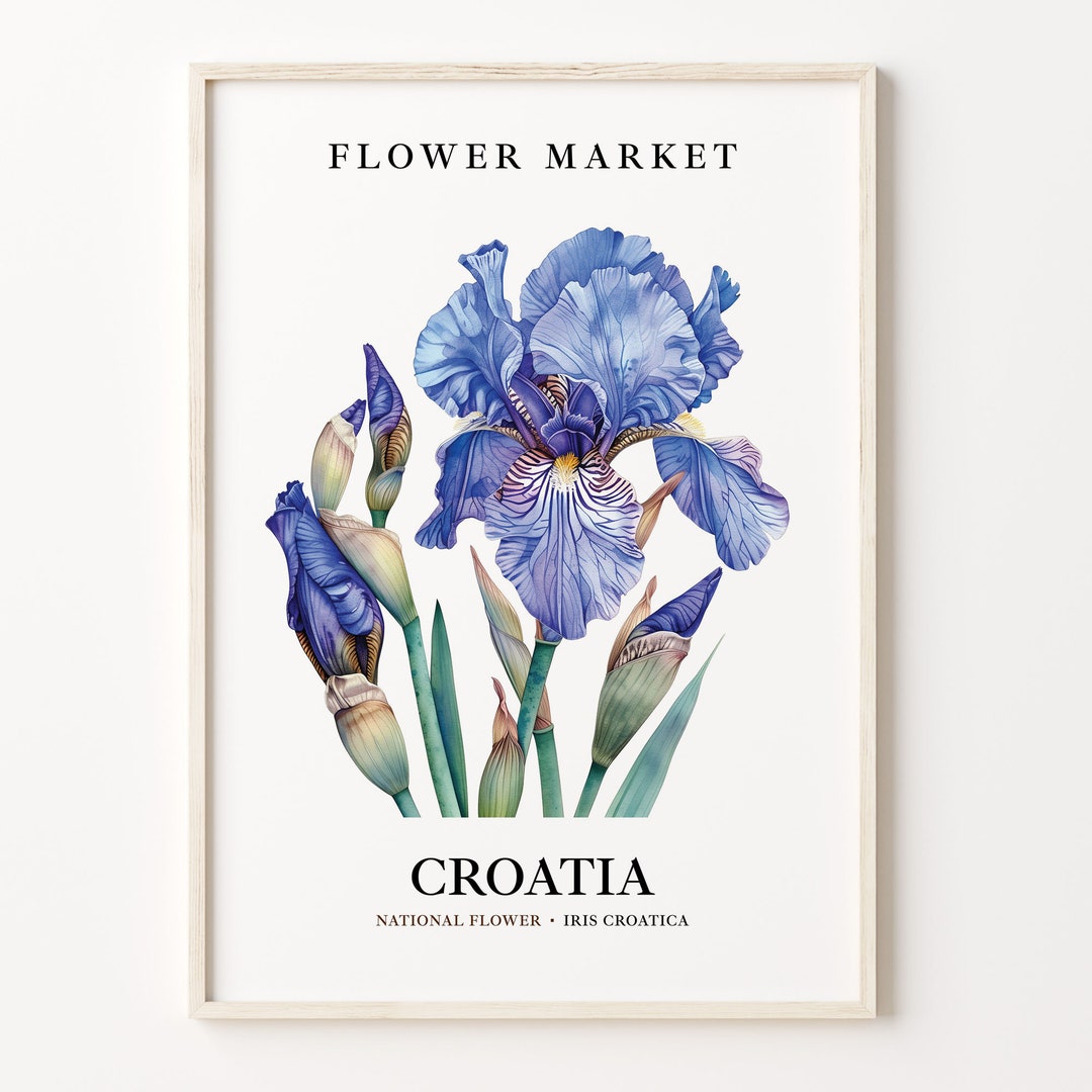 Croatia Flower Market Art Print, Botanical Pastel Artwork, Iris ...