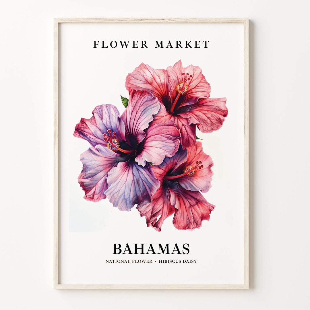 Bahamas Flower Market Art Print: Hibiscus Daisy Pastel Artwork - Etsy