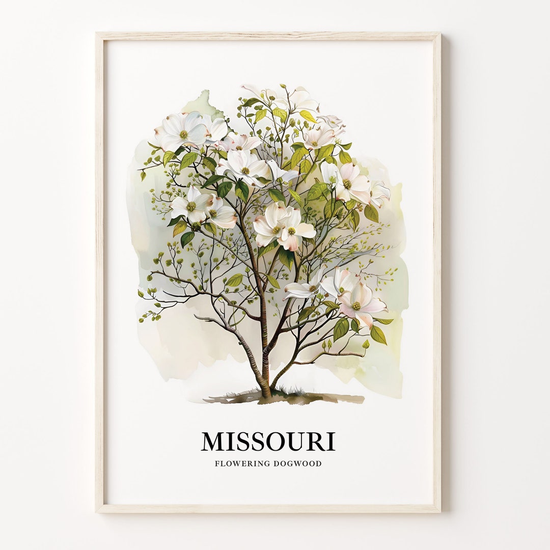 Missouri State Tree Art Print, Flowering Dogwood Wall Art, State Symbol ...