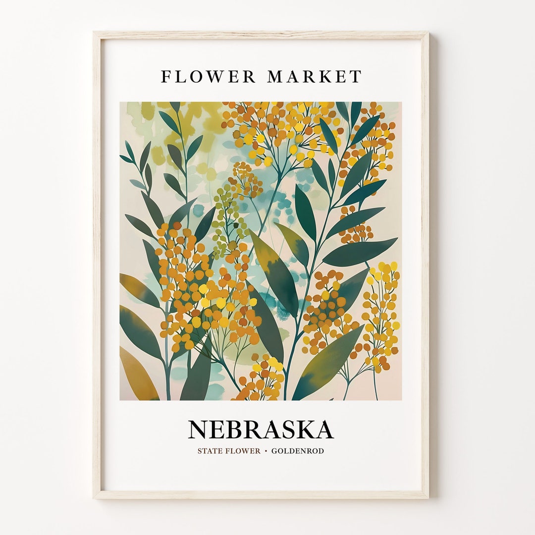 Nebraska State Flower Art Print, Goldenrod Botanical Wall Art, 1960s ...