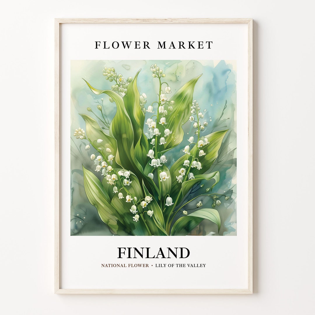 Finland National Flower Art Print, Lily of the Valley, 1960's Wall Art ...
