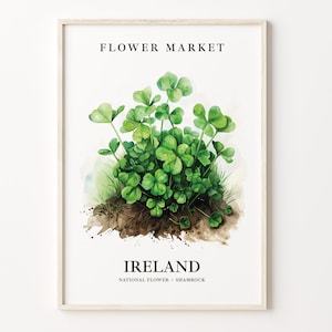 Ireland National Flower Art Print, Shamrock Wall Art, Neutral Botanical ...