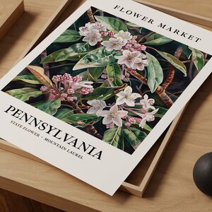 Pennsylvania State Flower Art Print, Mountain Laurel 1960s Wall Art ...
