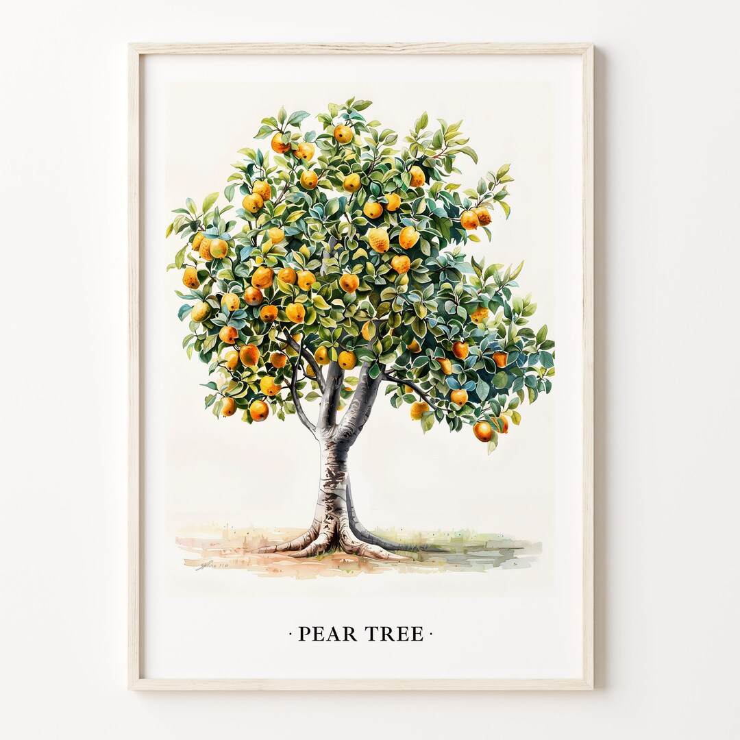 Pear Tree Art Print, Pear Tree Wall Art Poster, Botanical Fruit Tree ...