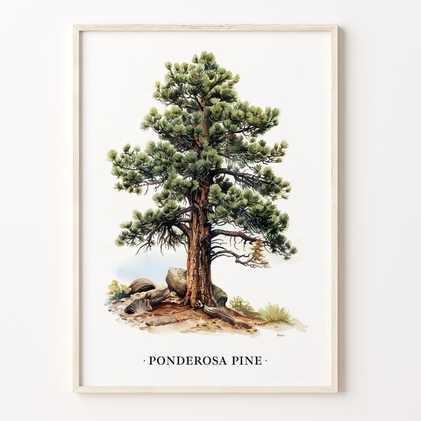 Ponderosa Forest Art - Etsy