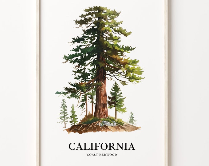 Handmade Redwood Tree Print 18x24 - Etsy