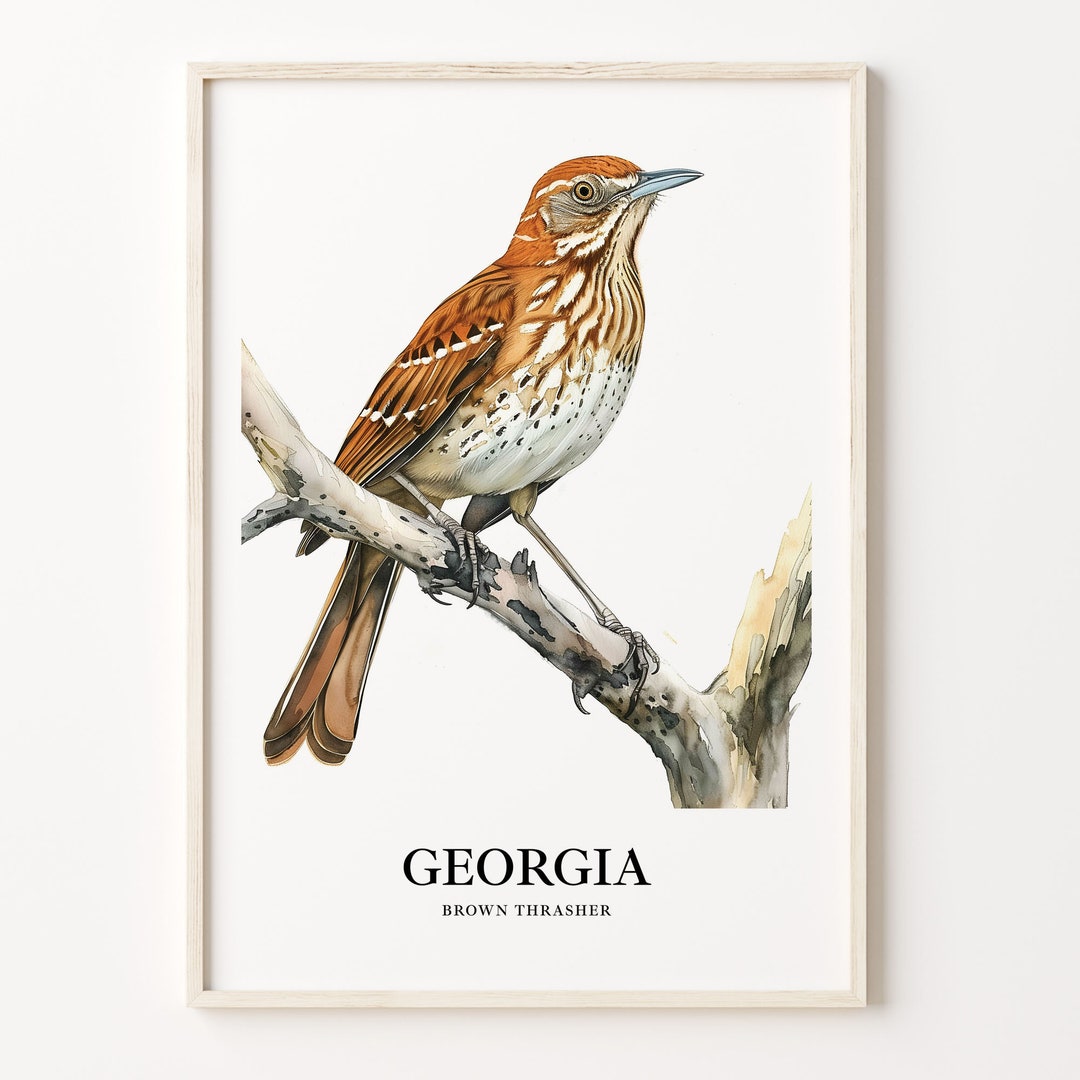 Georgia State Bird Art Print: Brown Thrasher Botanical Wall Art - Etsy