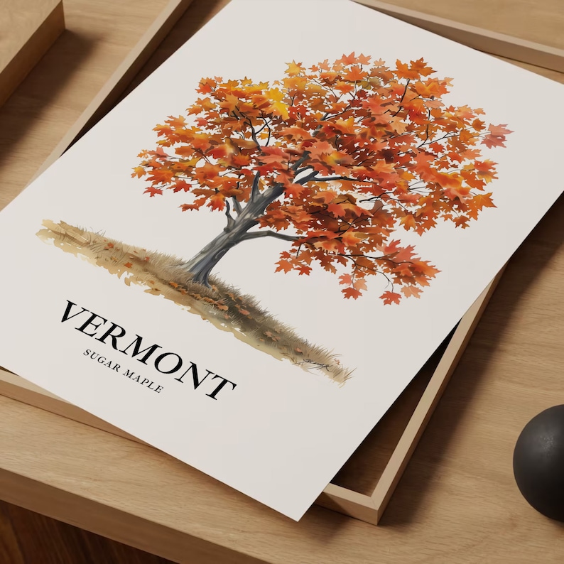 Vermont Sugar Maple Tree Art Print, State Tree Symbol Wall Art, Vermont ...
