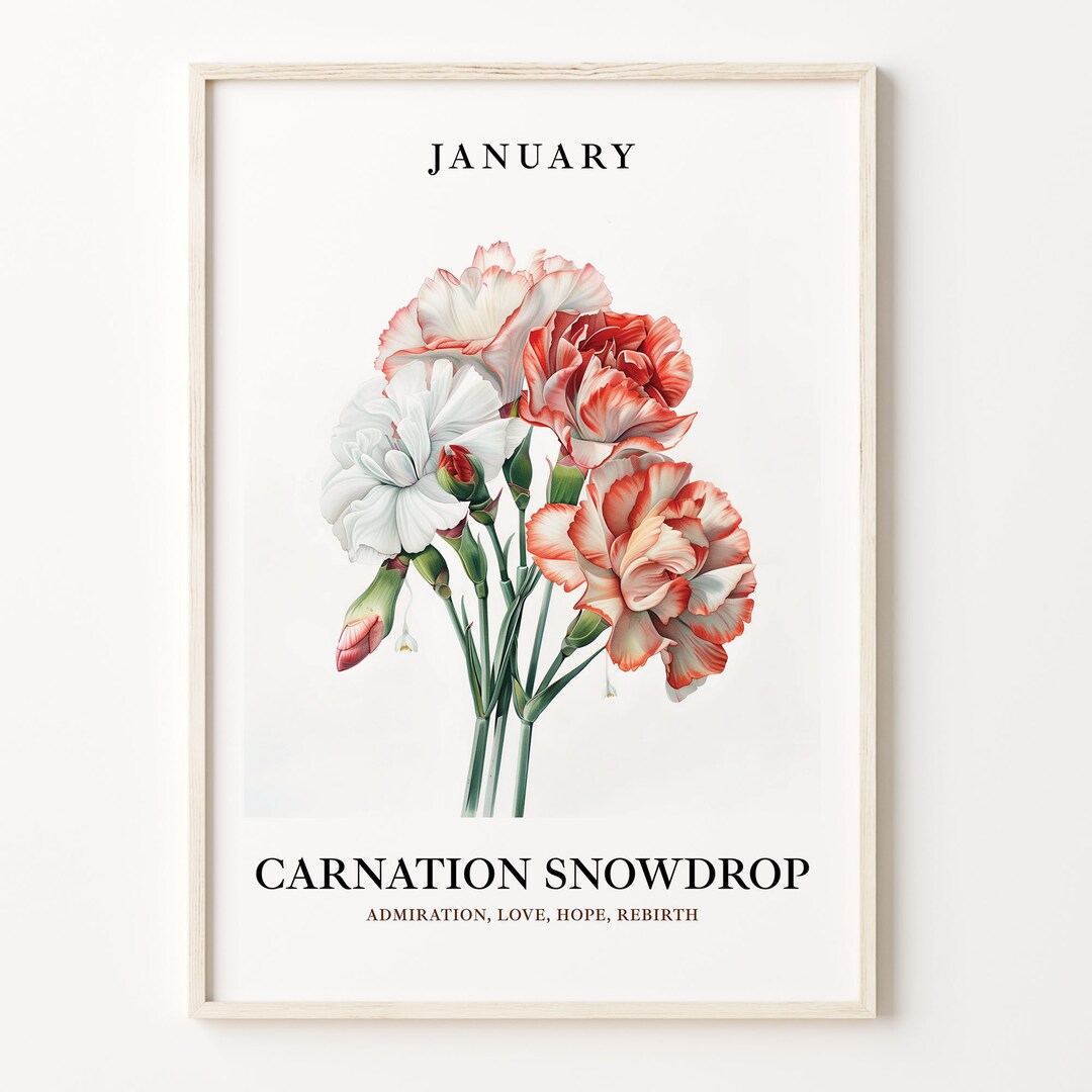 Carnation Snowdrop Art Print: Vintage January Flower Market Poster - Etsy