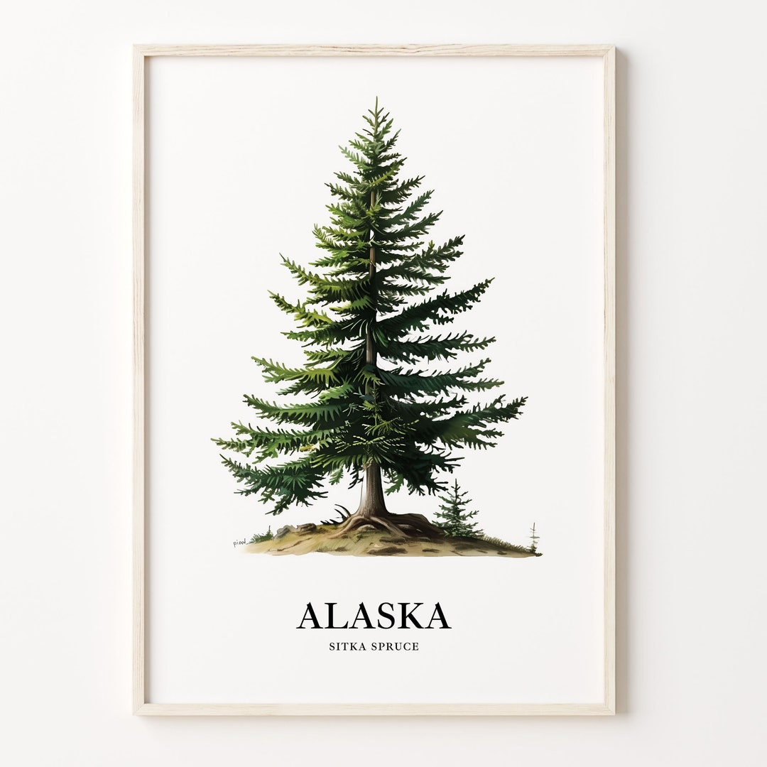Alaska Sitka Spruce Tree Wall Art, Alaska State Tree Art Print, State ...