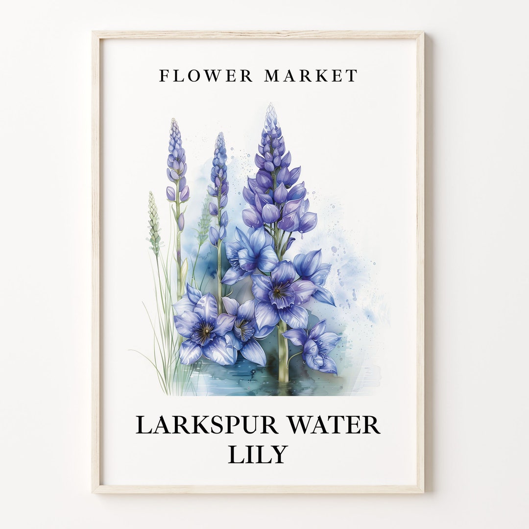 Larkspur Water Lily Art Print, Flower Market Poster, Botanical Wall ...