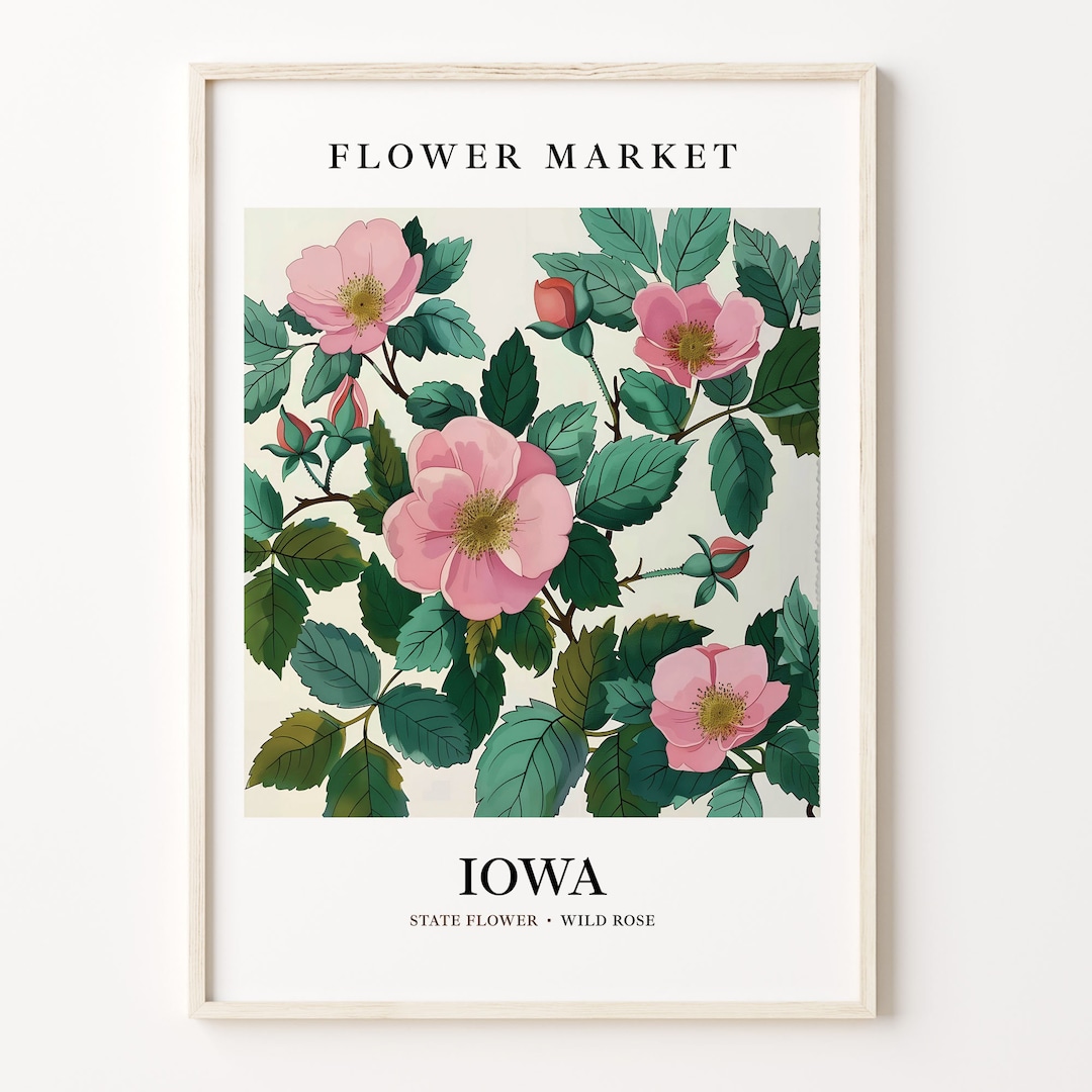 Iowa Wild Rose Art Print: 1960s Botanical Pastel Artwork - Etsy