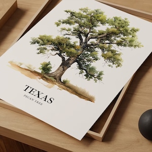Pecan Tree Wall Art, Texas State Tree Art Print, State Tree Symbol ...