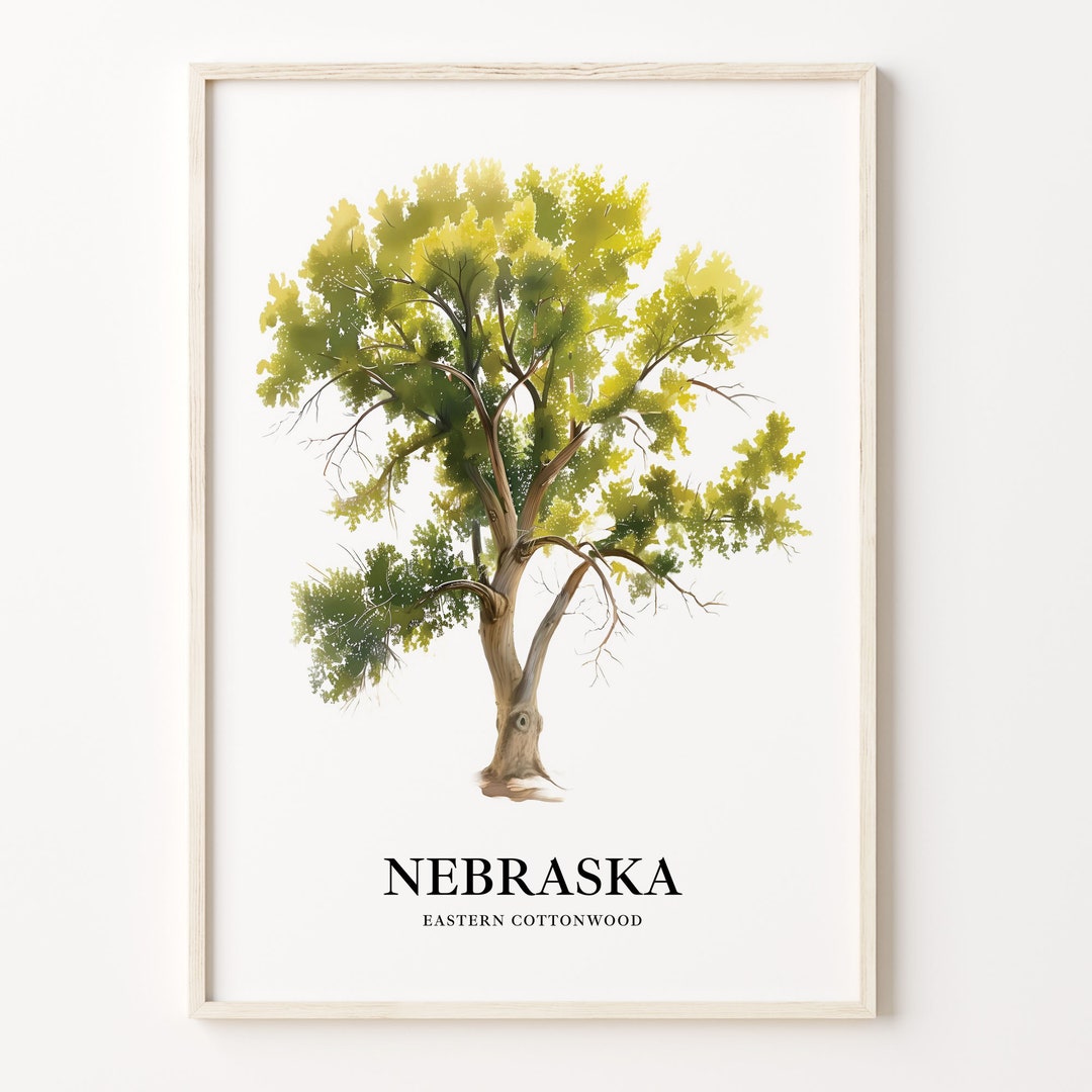 Eastern Cottonwood Art Print: Nebraska State Tree Wall Decor - Etsy