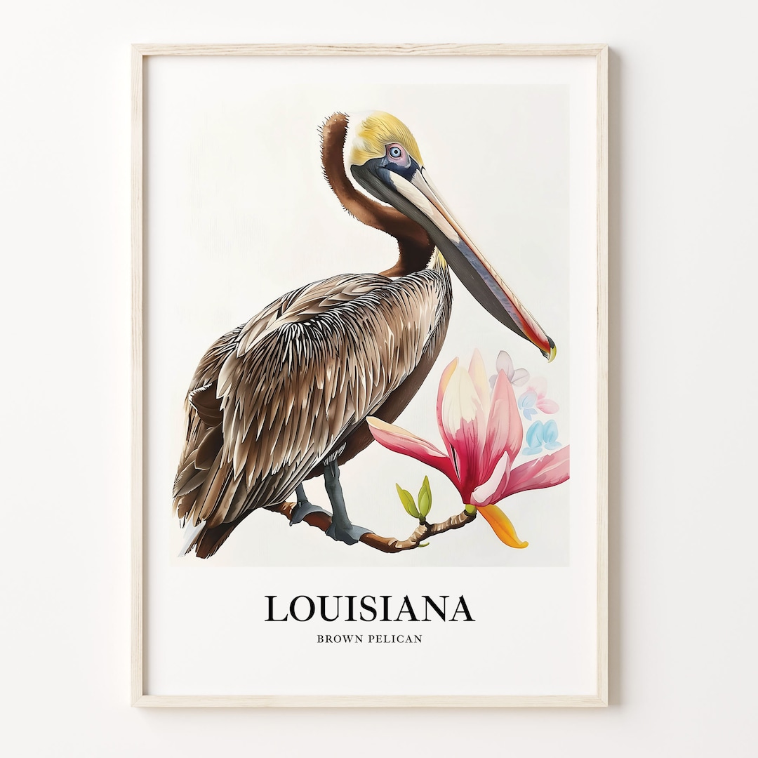 Louisiana State Bird Art Print, Flower Wall Art, Louisiana Home Decor ...