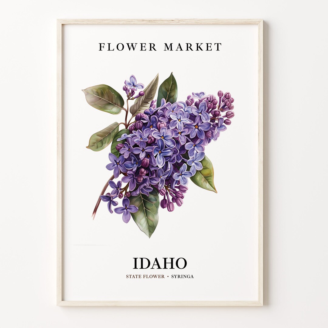 Syringa Art Print: Idaho State Flower, Vintage Botanical Decor - Etsy