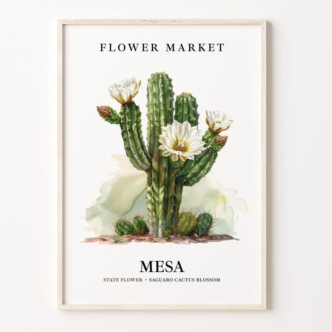 Mesa Arizona Flower Market Art Print, Cactus Blossom Wall Art ...