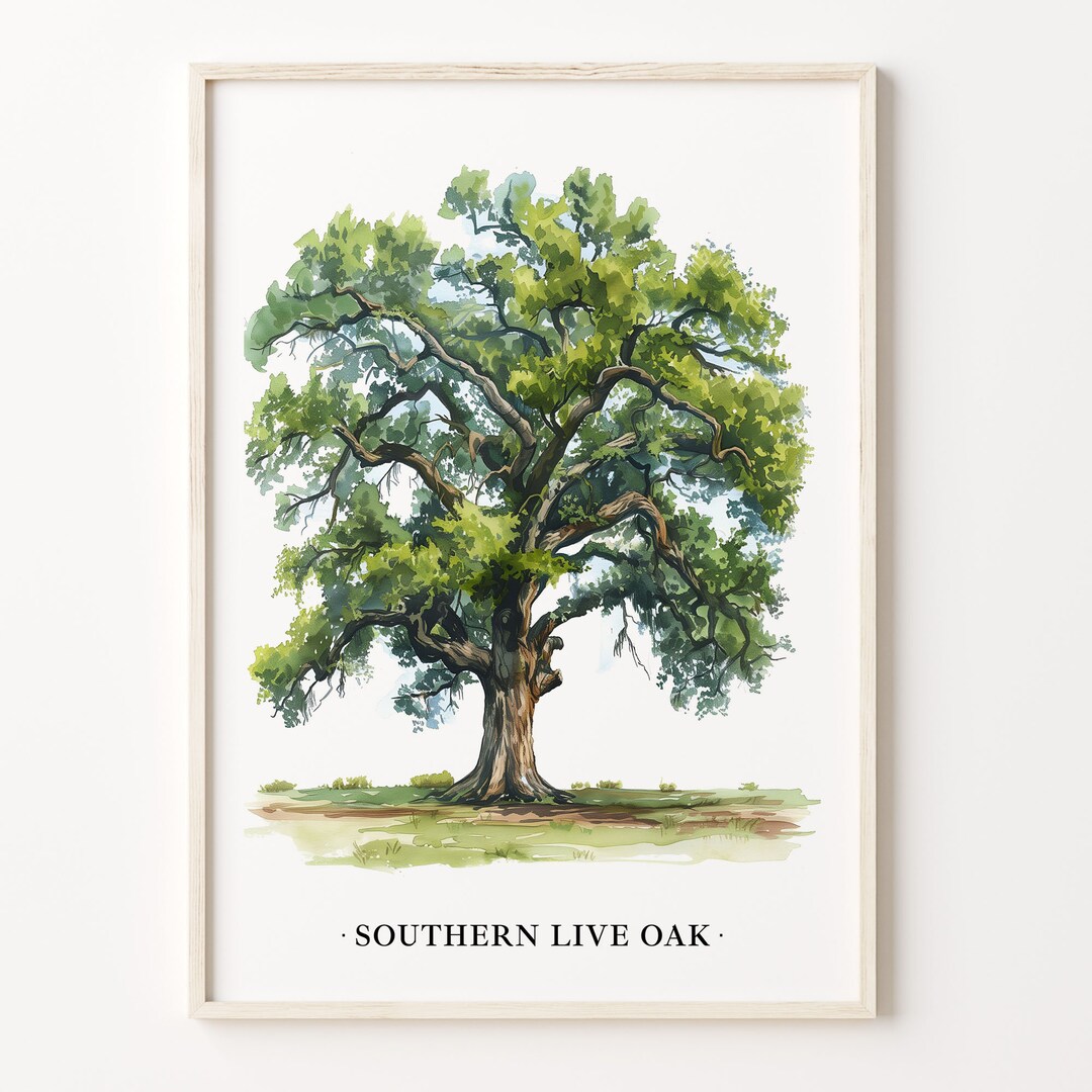 Southern Live Oak Tree Art Print: Nature Landscape Poster - Etsy