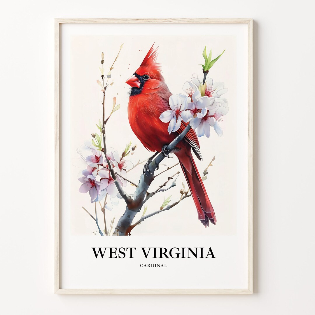 West Virginia Cardinal Art Print: Botanical Bird Wall Decor - Etsy