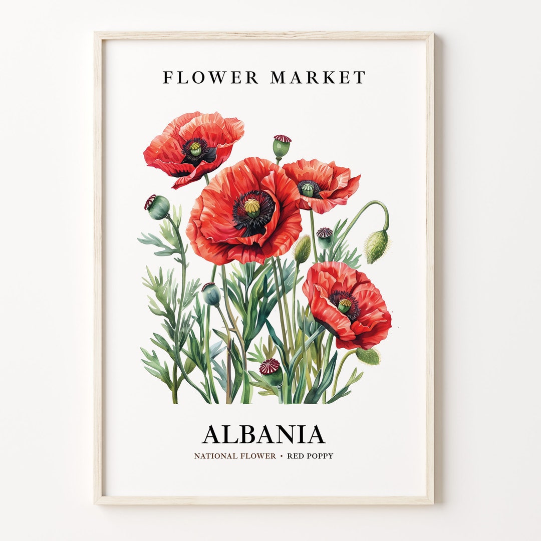 Albania Flower Market Art Print, Red Poppy Wall Art, Botanical Pastel ...