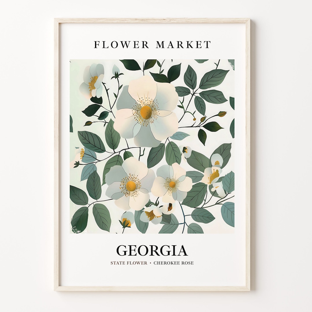 Georgia State Flower Art Print, Cherokee Rose 1960s Wall Art, Neutral ...