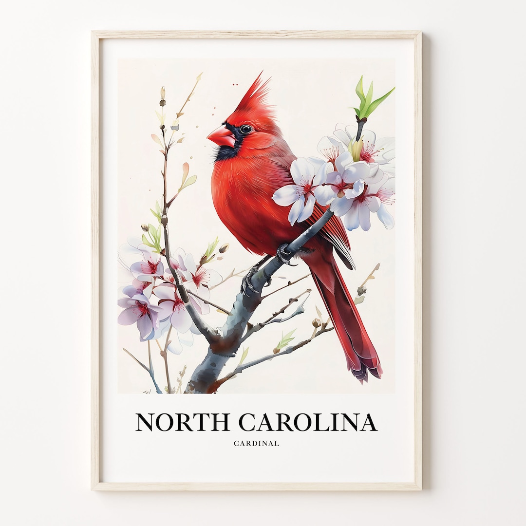 North Carolina State Bird & Flower Art Print, North Carolina Wall Art ...