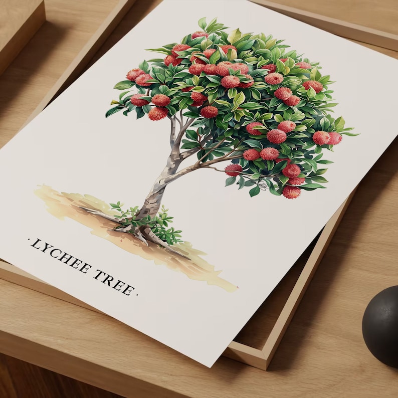 Lychee Tree Art Print, Lychee Tree Wall Art Poster, Botanical Fruit ...