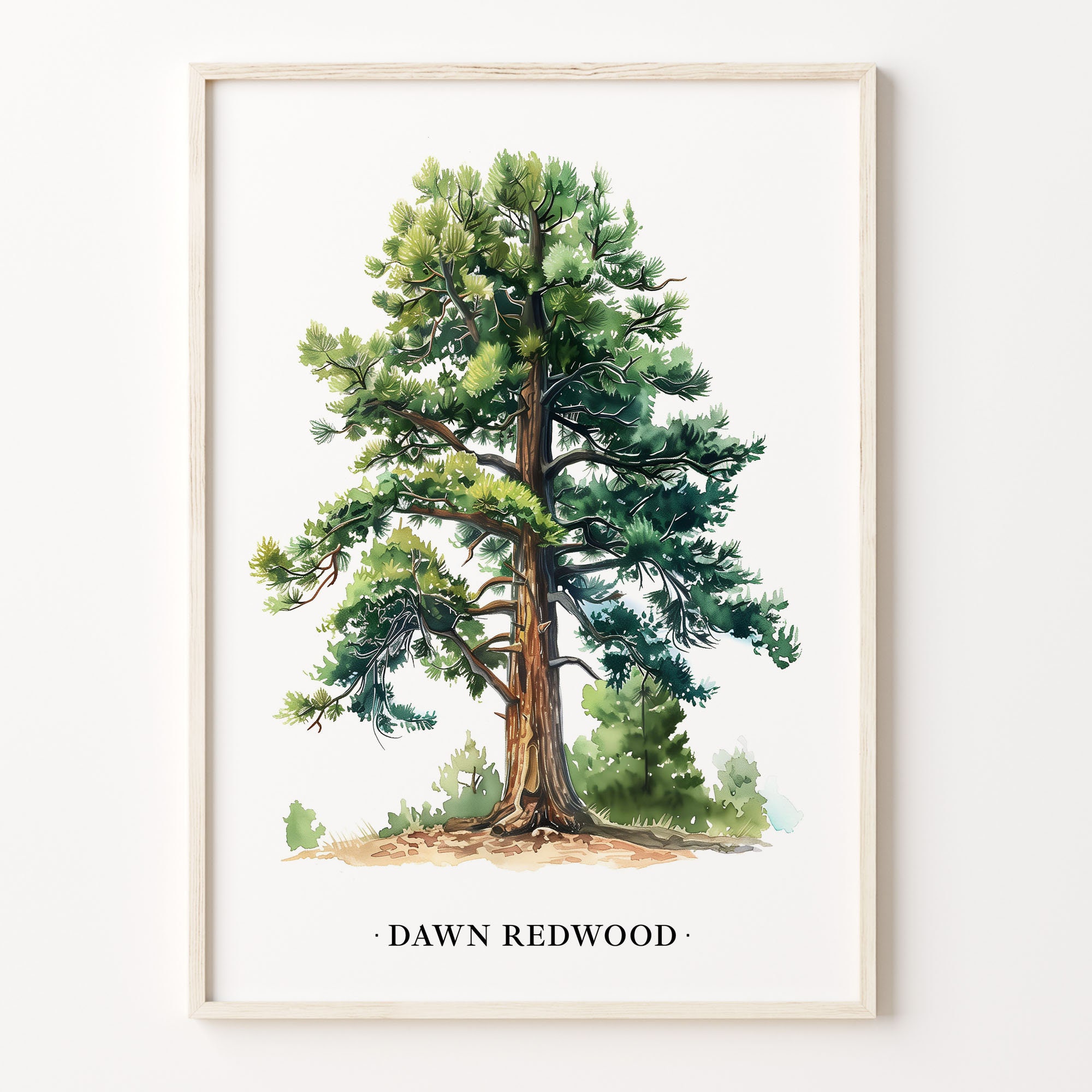 Redwood Tree Artwork