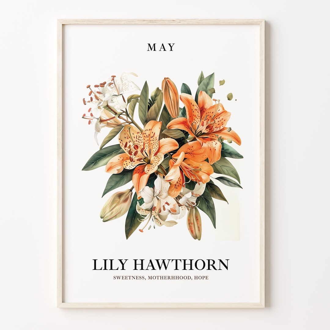 May Flower Month Art Print, Vintage Lily Hawthorn Wall Art, 1960's ...