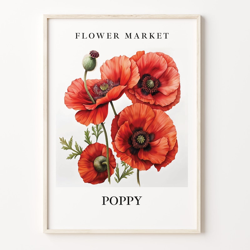 Poppy Decor - Etsy