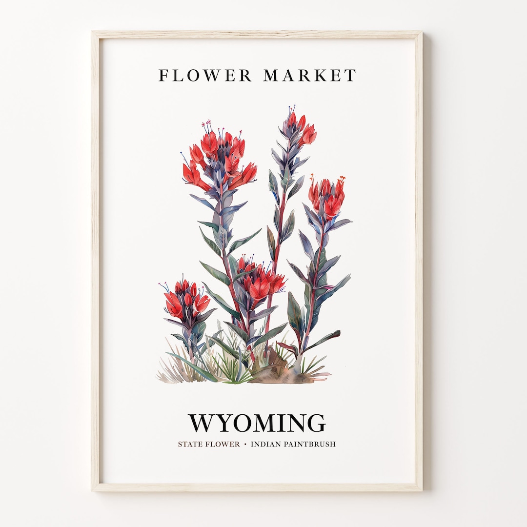 Wyoming State Flower Art Print, Indian Paintbrush 1960's Wall Art ...
