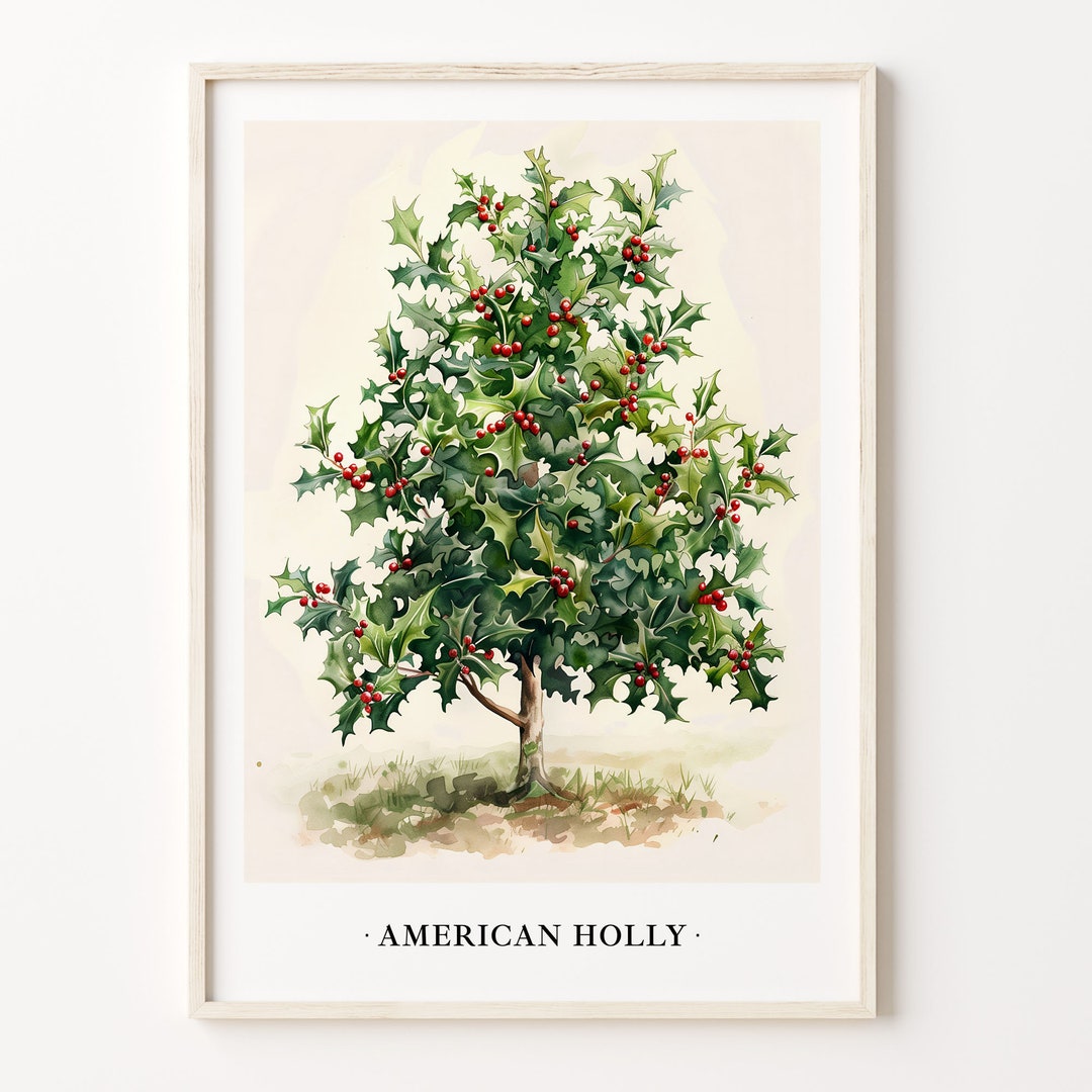 American Holly Tree Art Print, Wall Art Poster, Botanical Illustration ...