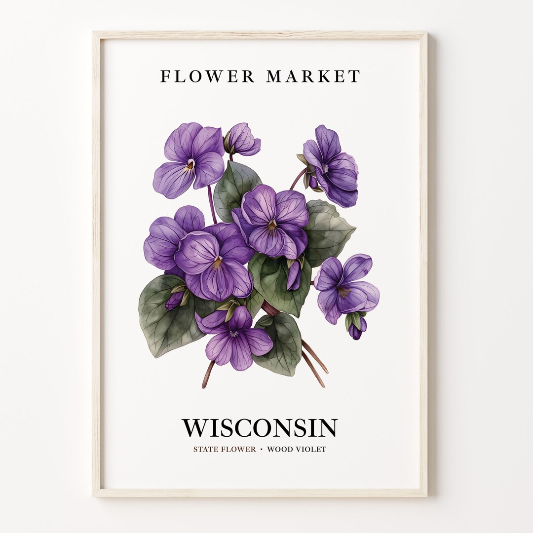 Wisconsin State Flower Art Print, Wood Violet 1960's Wall Art, Neutral ...