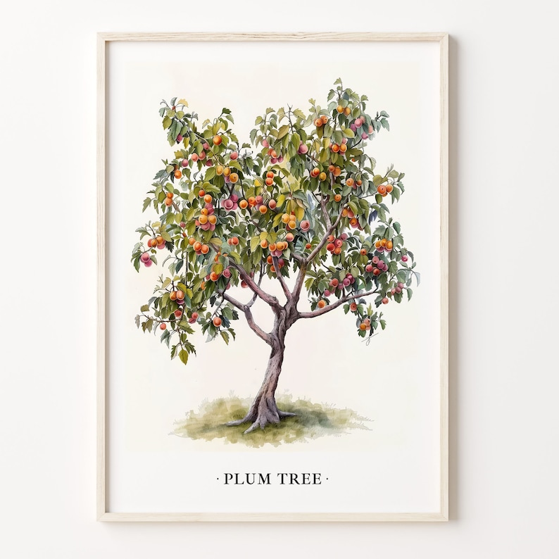 Plum Tree Art Print: Botanical Illustration, Nature-inspired Decor - Etsy