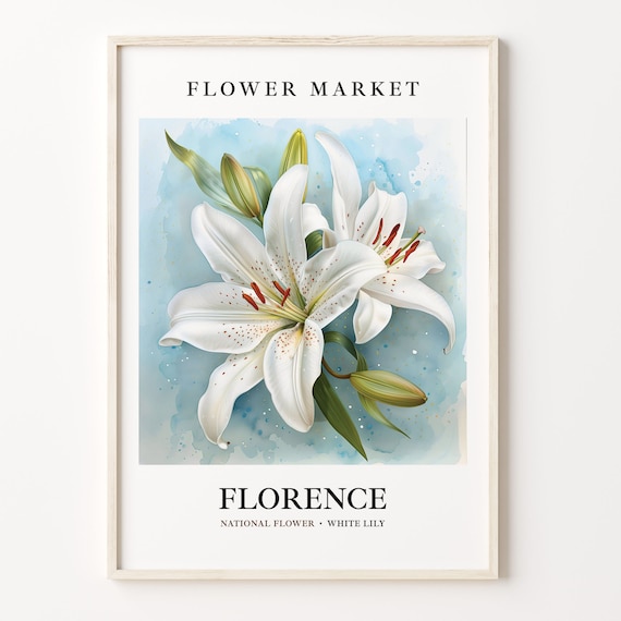 Official Flower Of Florence Italy