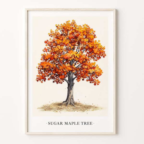 Maple Trees - Etsy