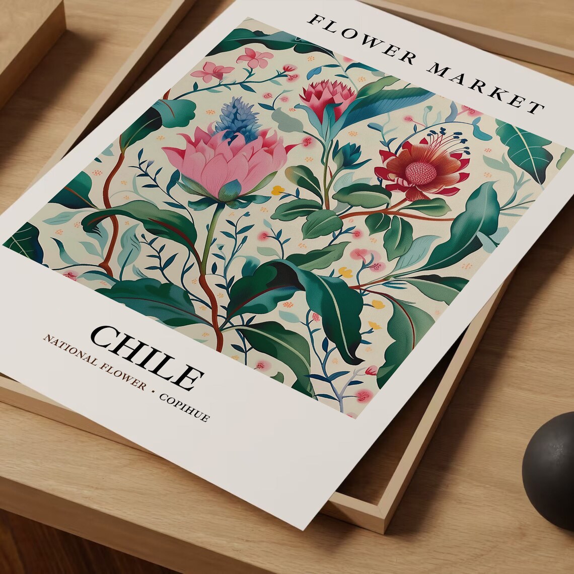 Chile National Flower Art Print, Vintage Cophihue Botanical Artwork ...