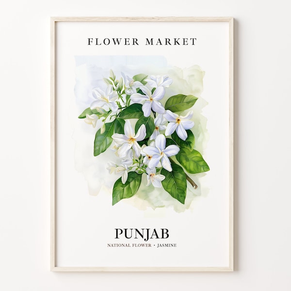 Pakistan Flower Jasmine Wall Art - Etsy